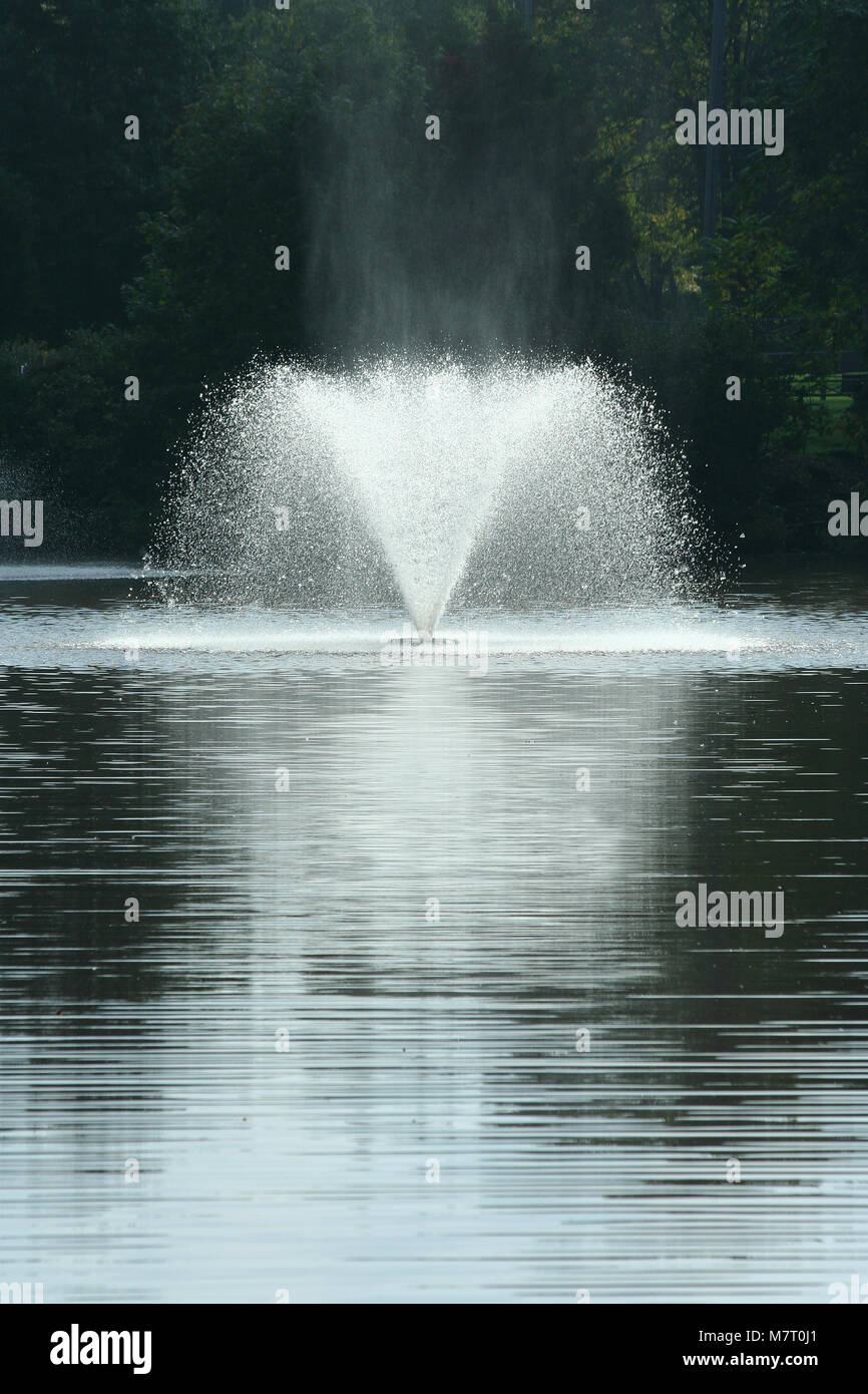 Water fountain on a pond with reflection Stock Photo - Alamy
