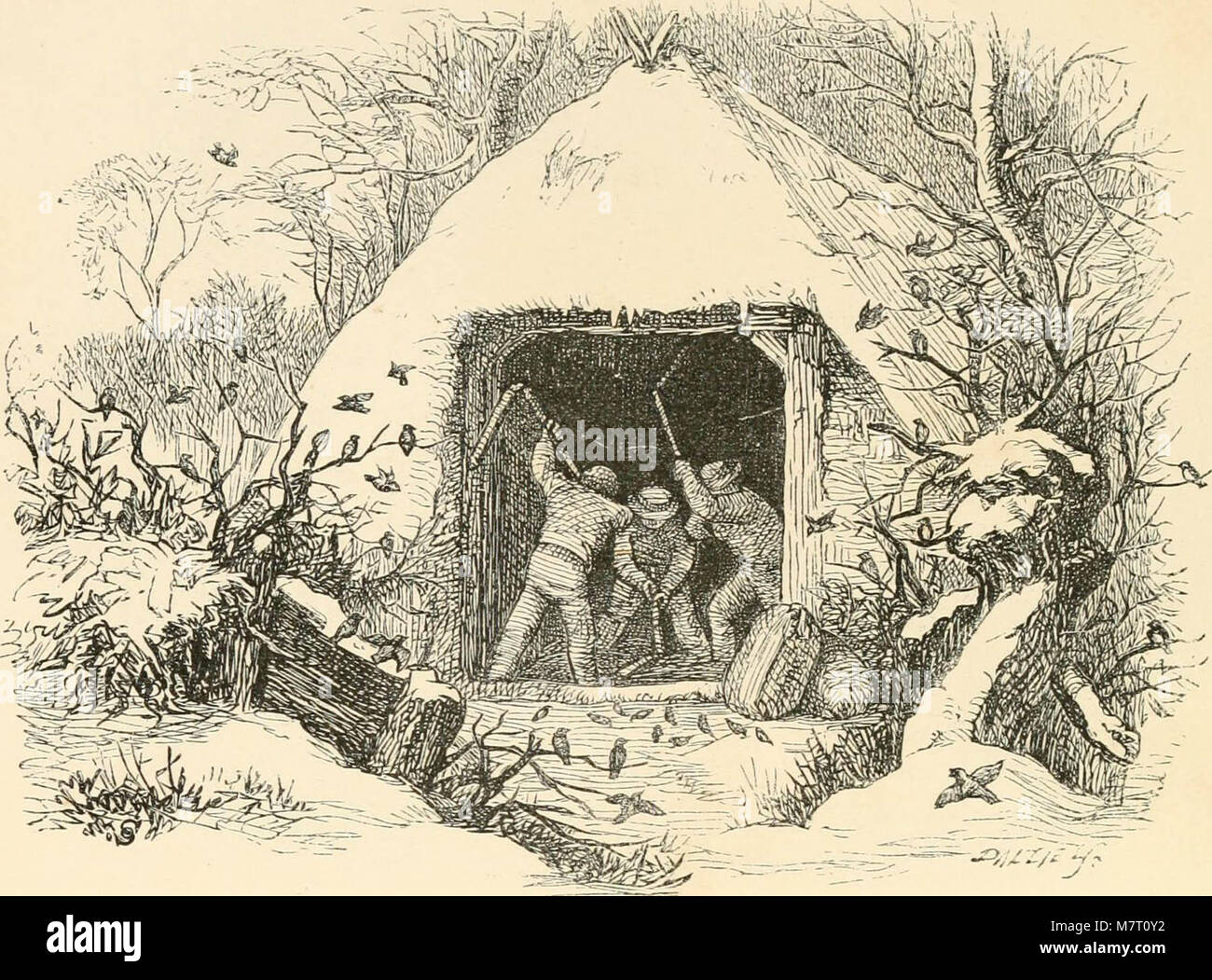 "Picture fables" (1858 Stock Photo - Alamy