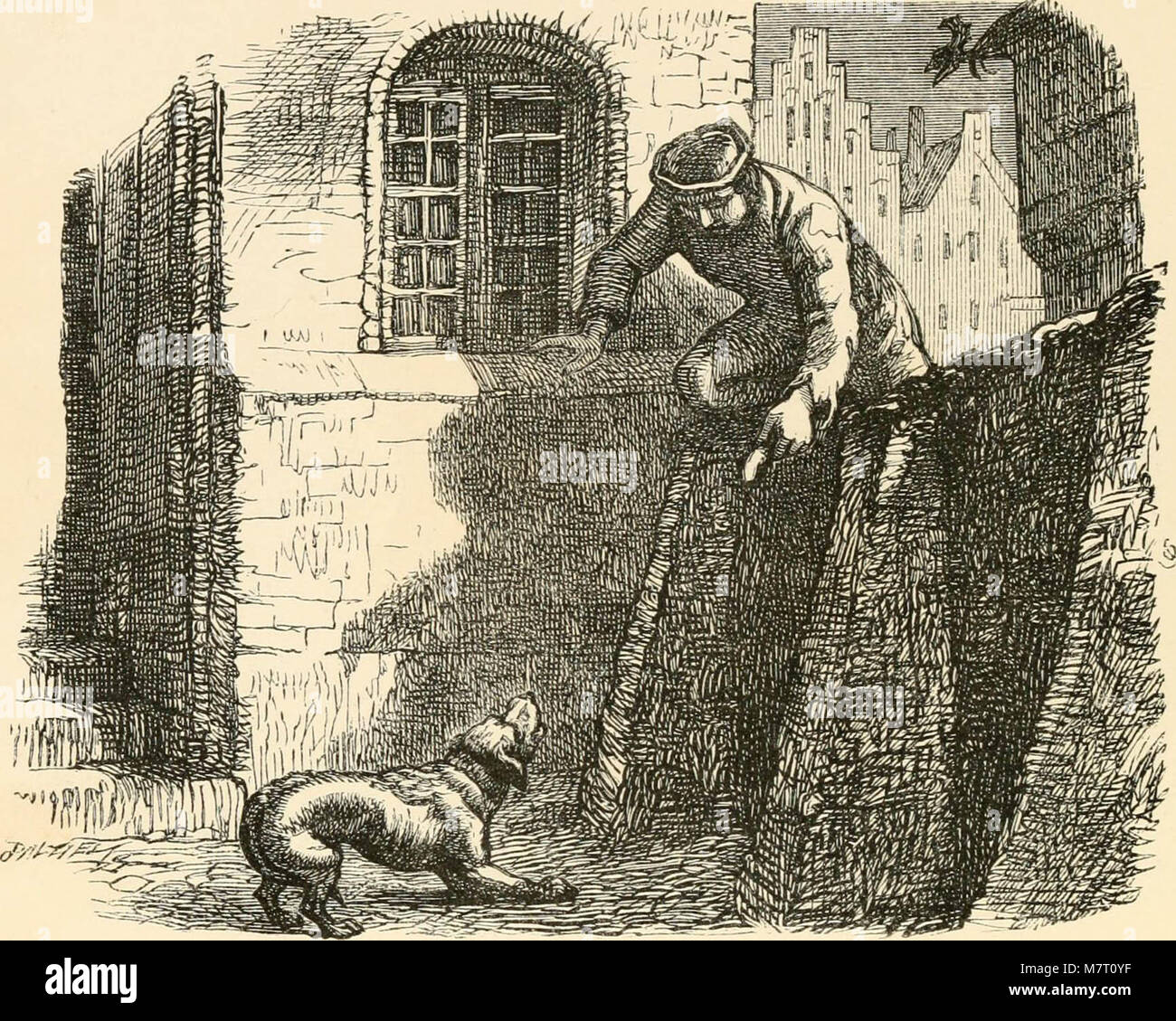 "Picture fables" (1858 Stock Photo - Alamy