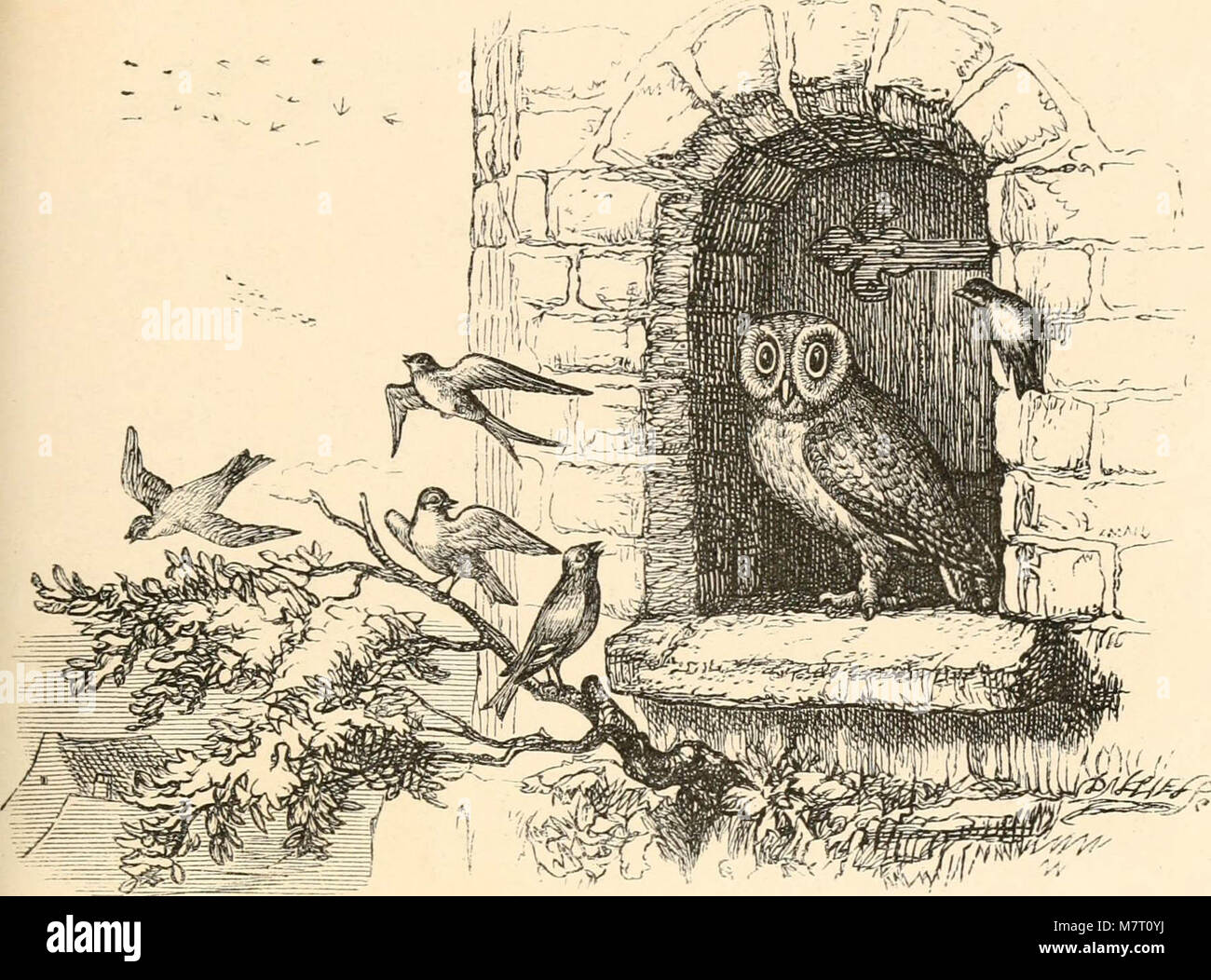 "Picture fables" (1858 Stock Photo - Alamy