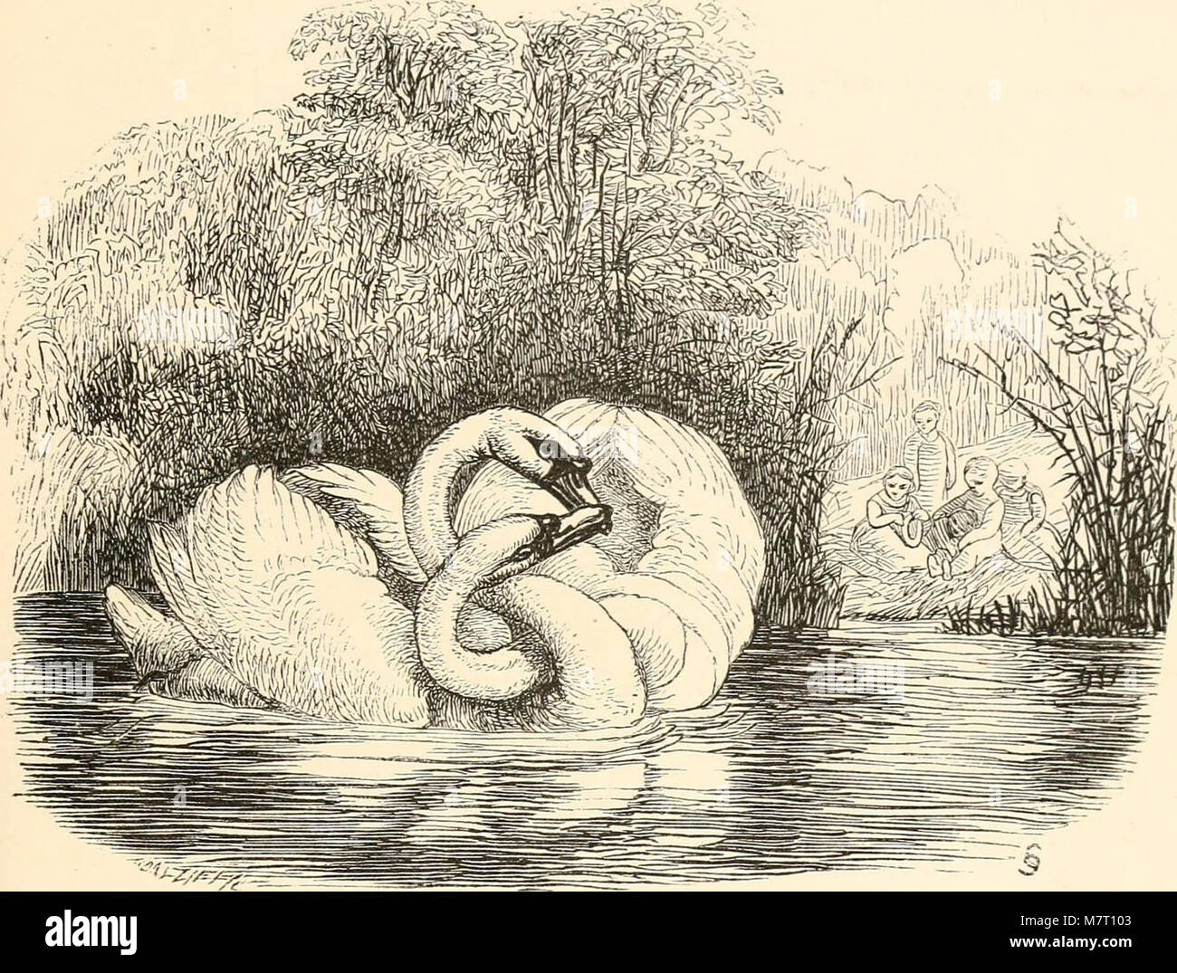 "Picture fables" (1858 Stock Photo - Alamy