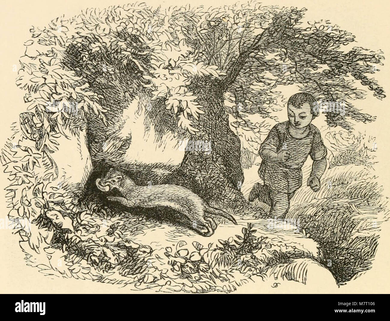 "Picture fables" (1858 Stock Photo - Alamy