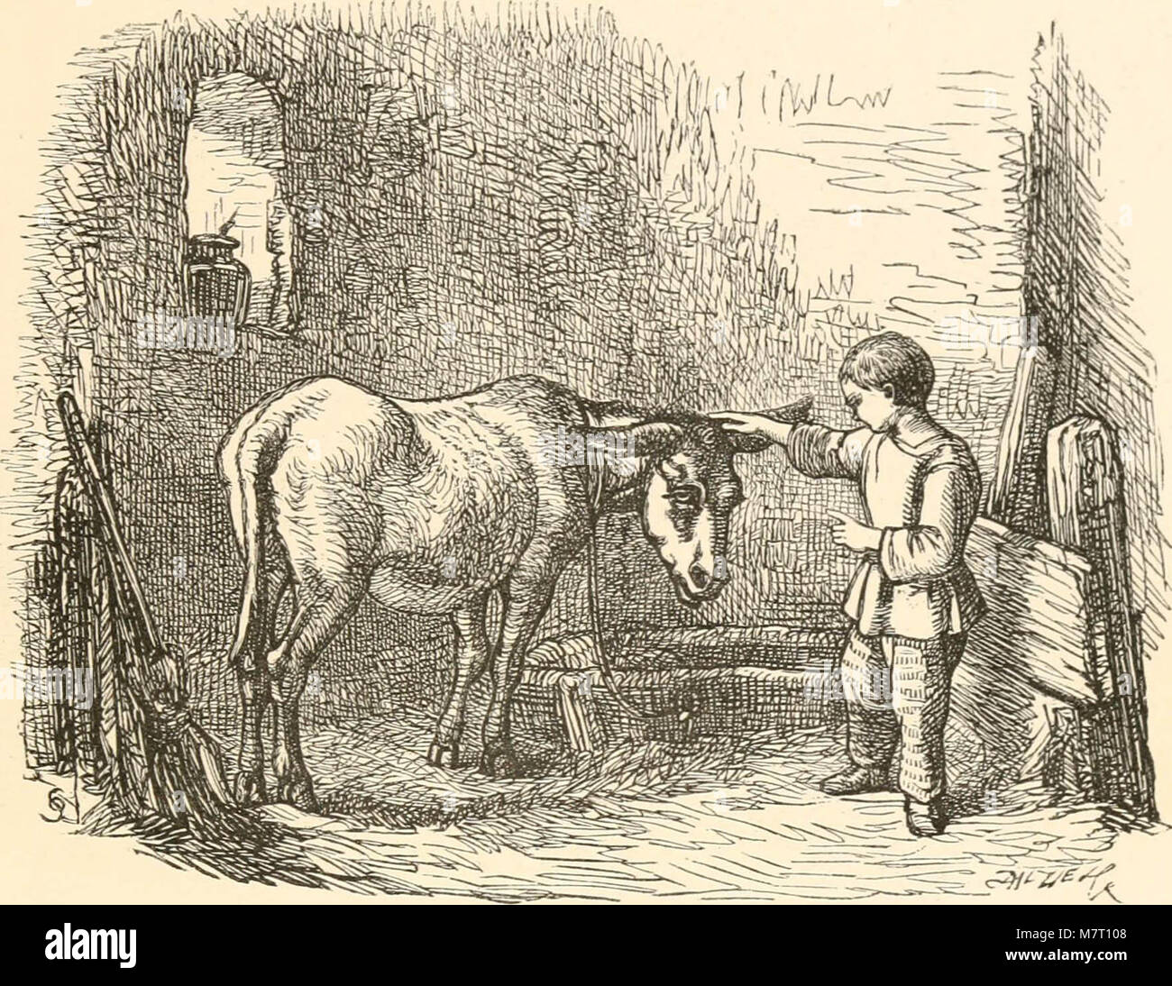 "Picture fables" (1858 Stock Photo - Alamy