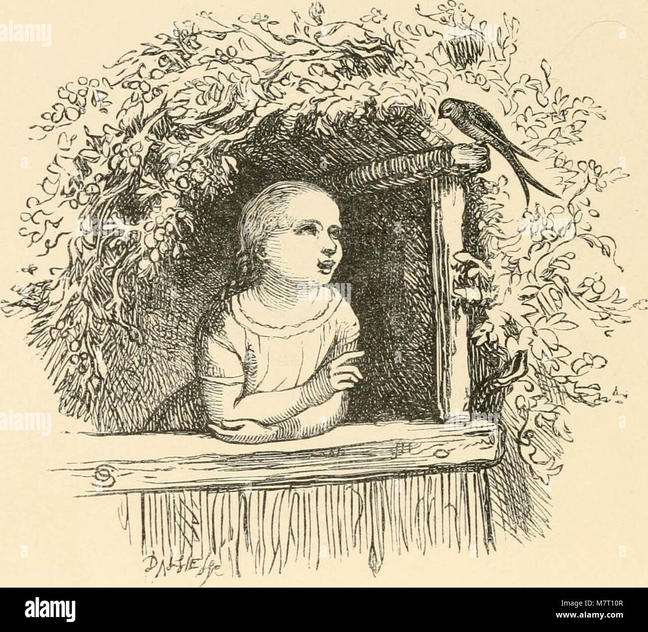 "Picture fables" (1858 Stock Photo - Alamy