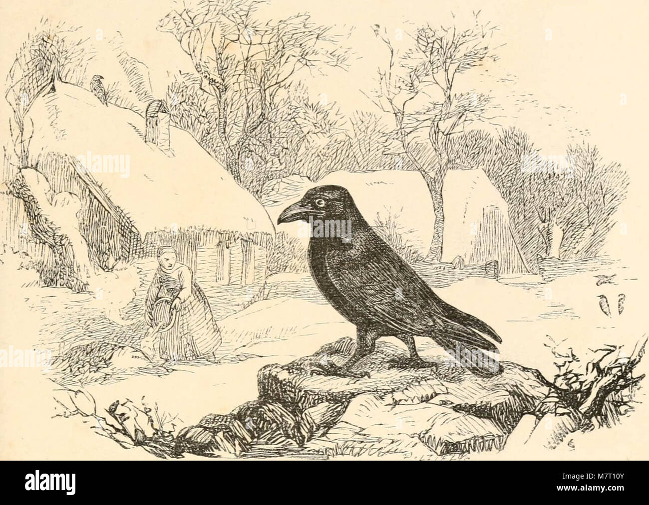 "Picture fables" (1858 Stock Photo - Alamy