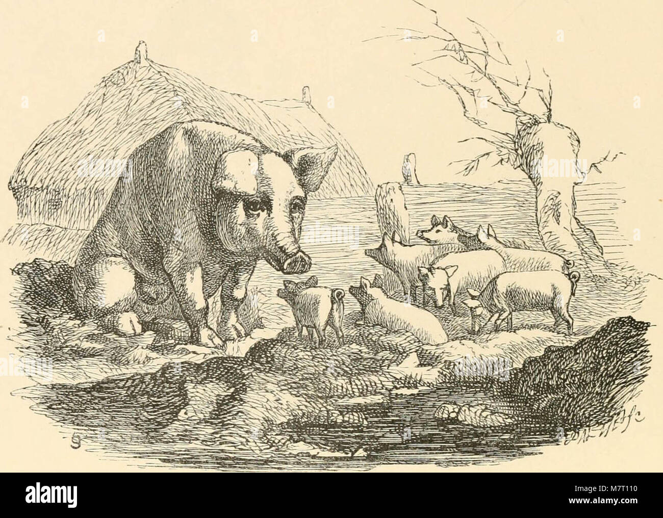 "Picture fables" (1858 Stock Photo - Alamy