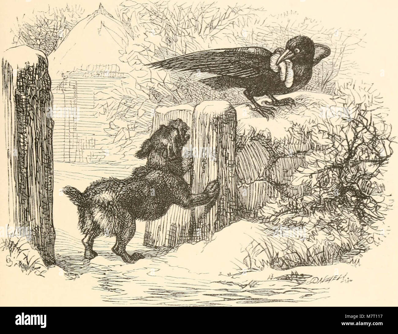"Picture fables" (1858 Stock Photo - Alamy