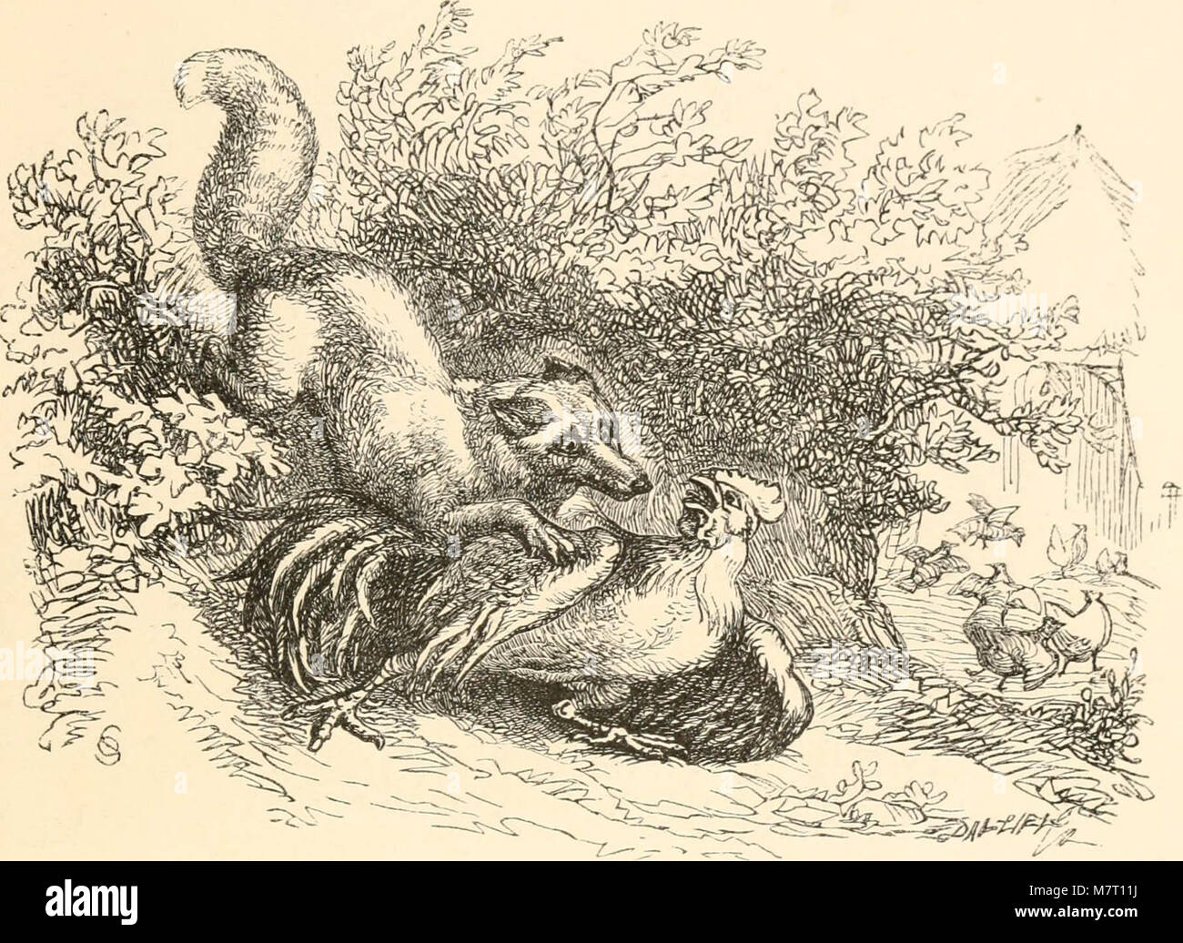 "Picture fables" (1858 Stock Photo - Alamy