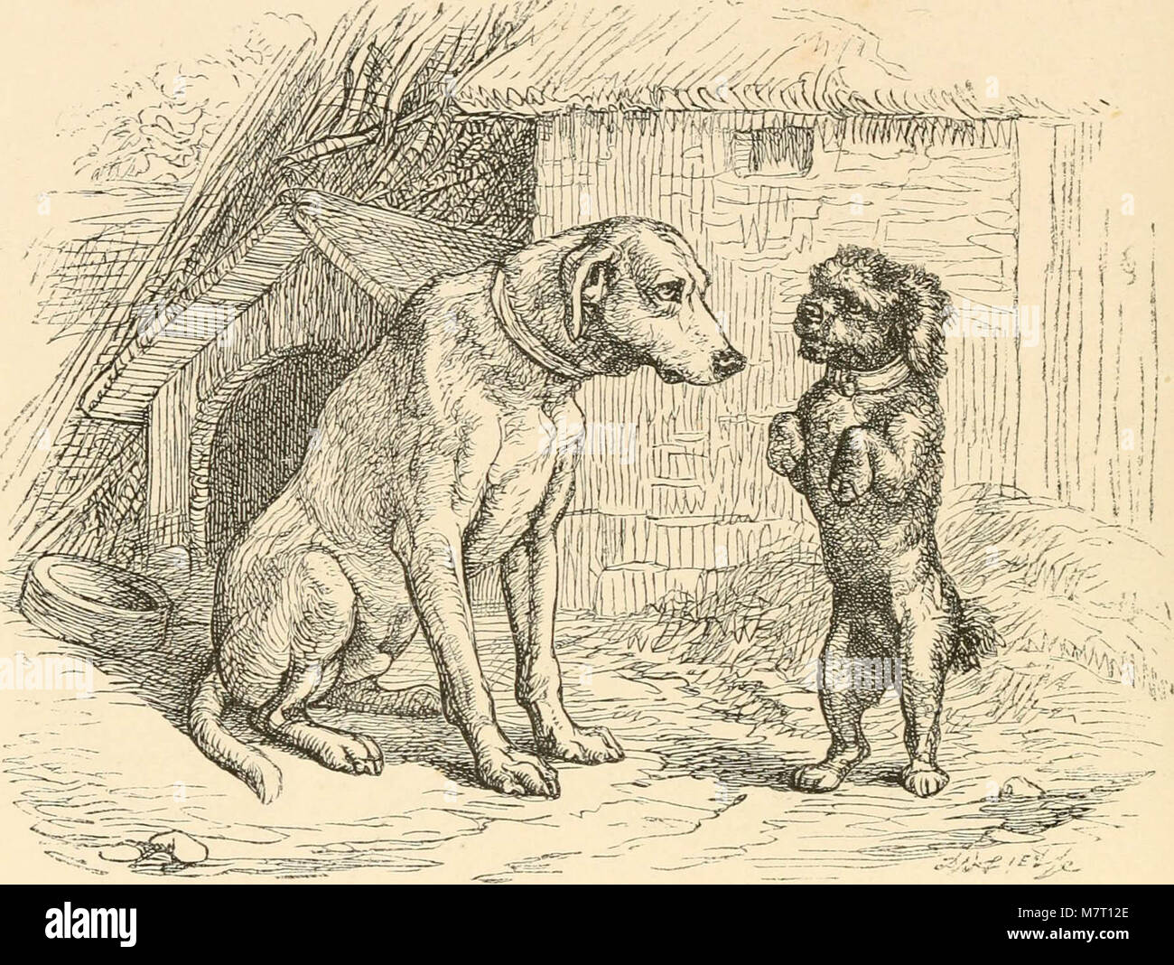 "Picture fables" (1858 Stock Photo - Alamy