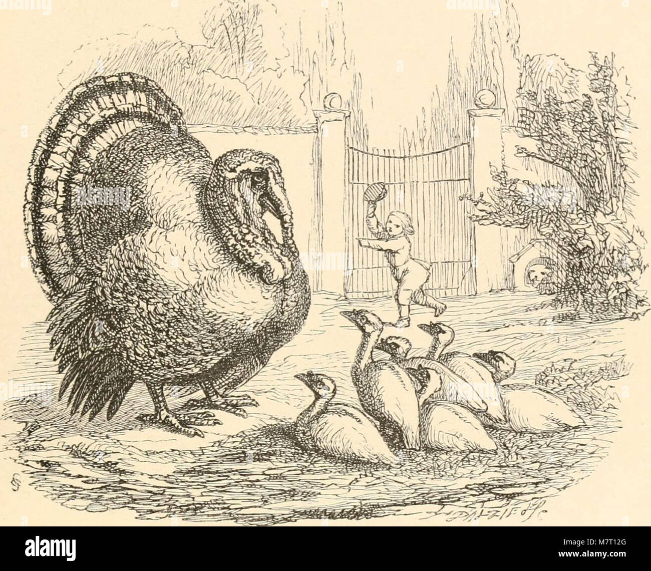 "Picture fables" (1858 Stock Photo - Alamy