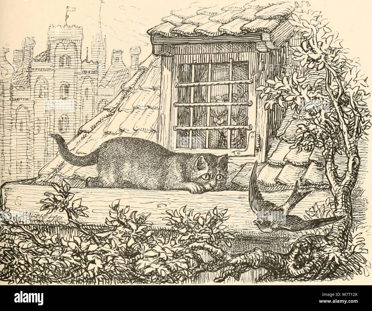 "Picture fables" (1858 Stock Photo - Alamy