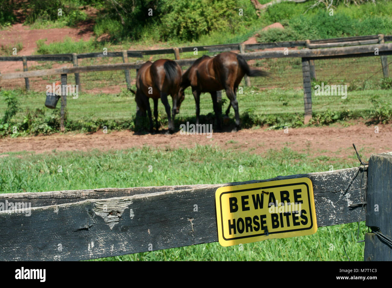 A Yellow Beware horse bites sign Stock Photo - Alamy A Yellow Beware horse bites sign Stock Photo - Alamy