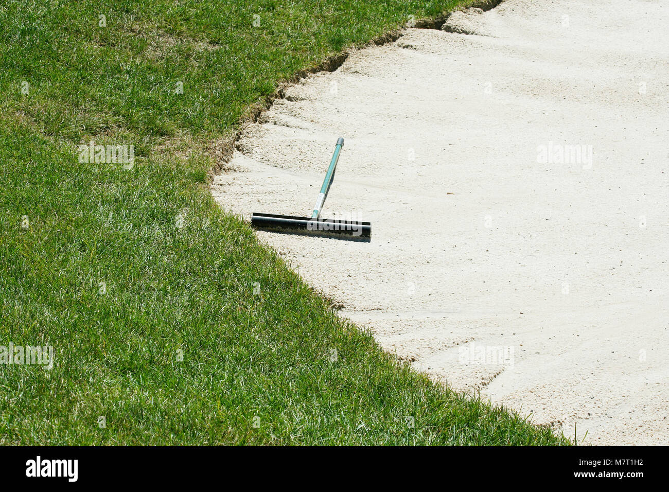 A Sand trap rake in a bunker Stock Photo - Alamy