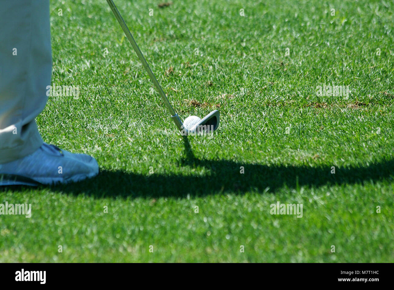 A Golfer addressing the ball Stock Photo - Alamy