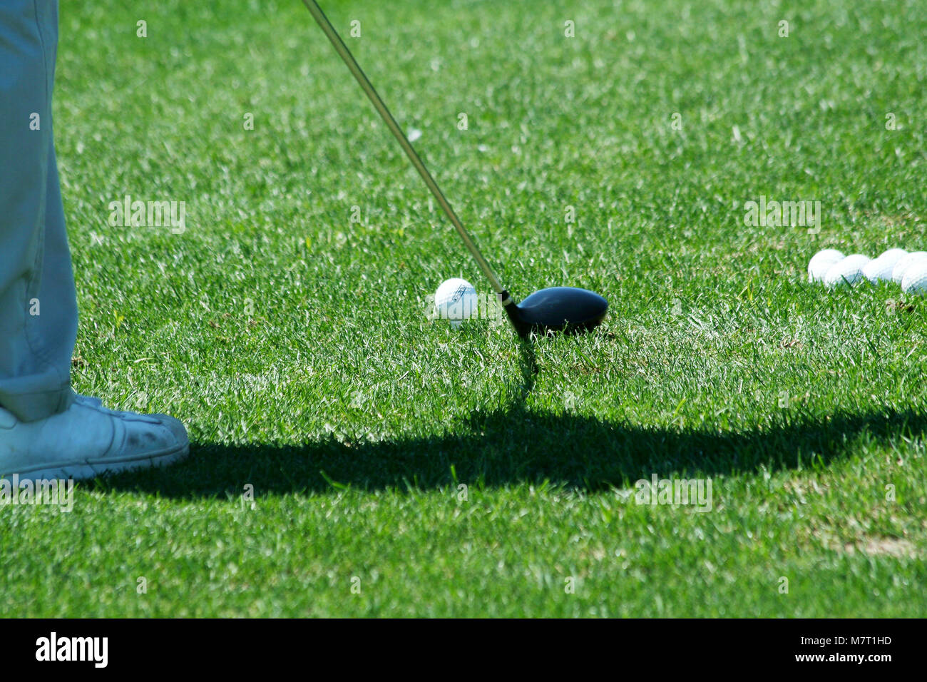A Golfer addressing the ball Stock Photo - Alamy