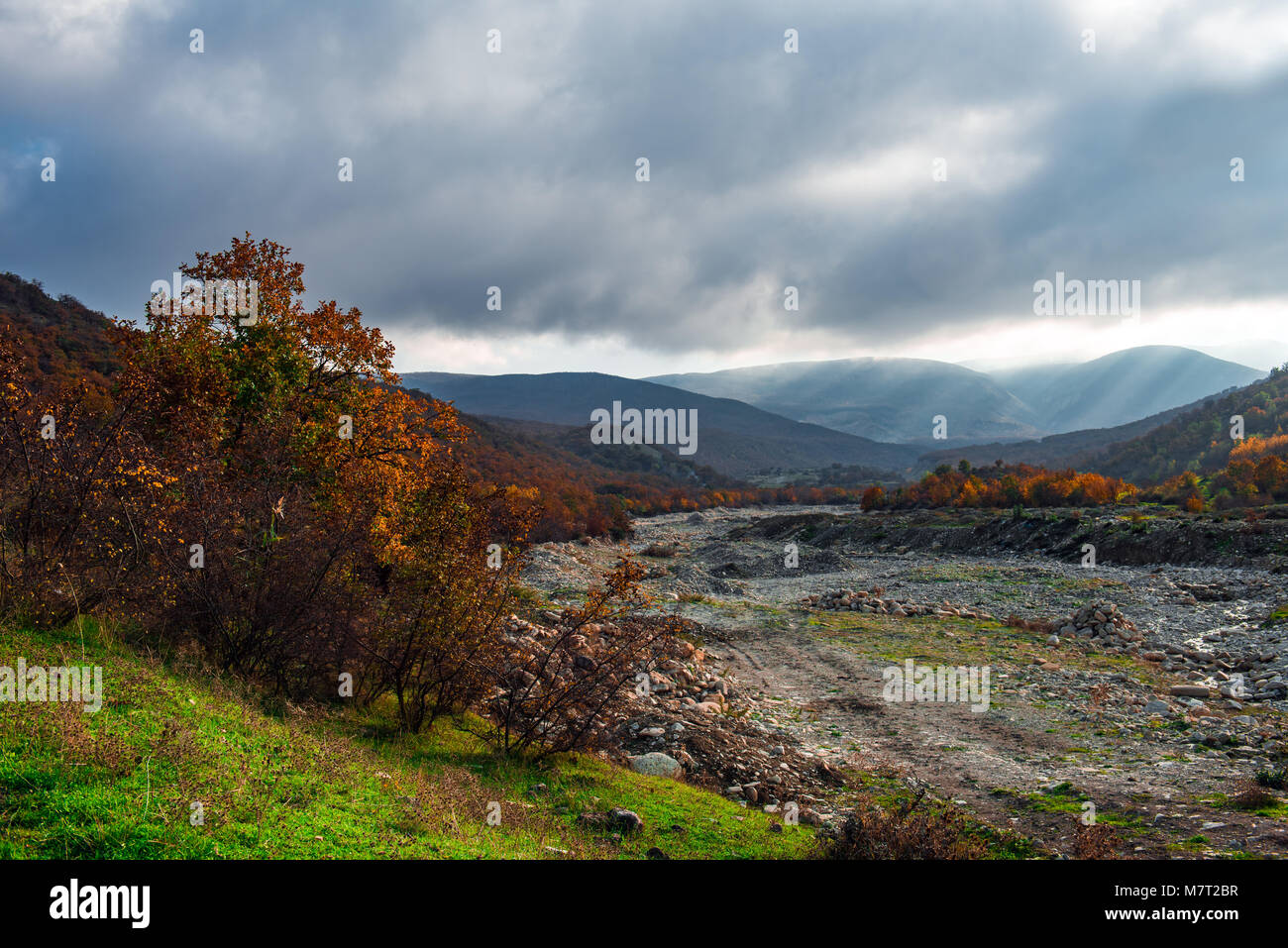 Rainy gray autumn landscape hi-res stock photography and images - Alamy