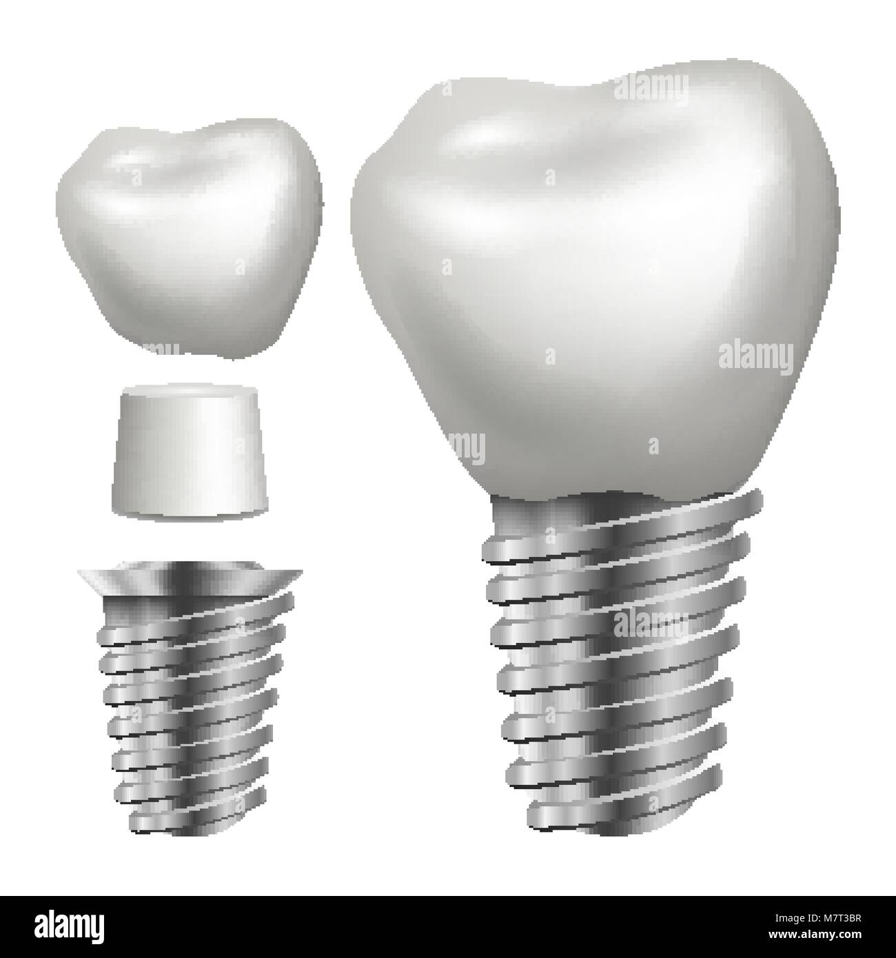 Educational dental graphic Cut Out Stock Images & Pictures - Alamy