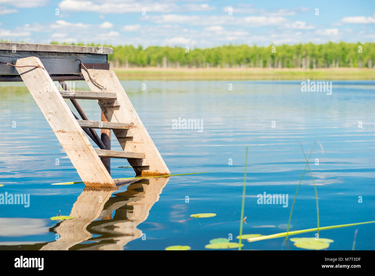 authentic wooden staircase and pier near a picturesque pond close up ...