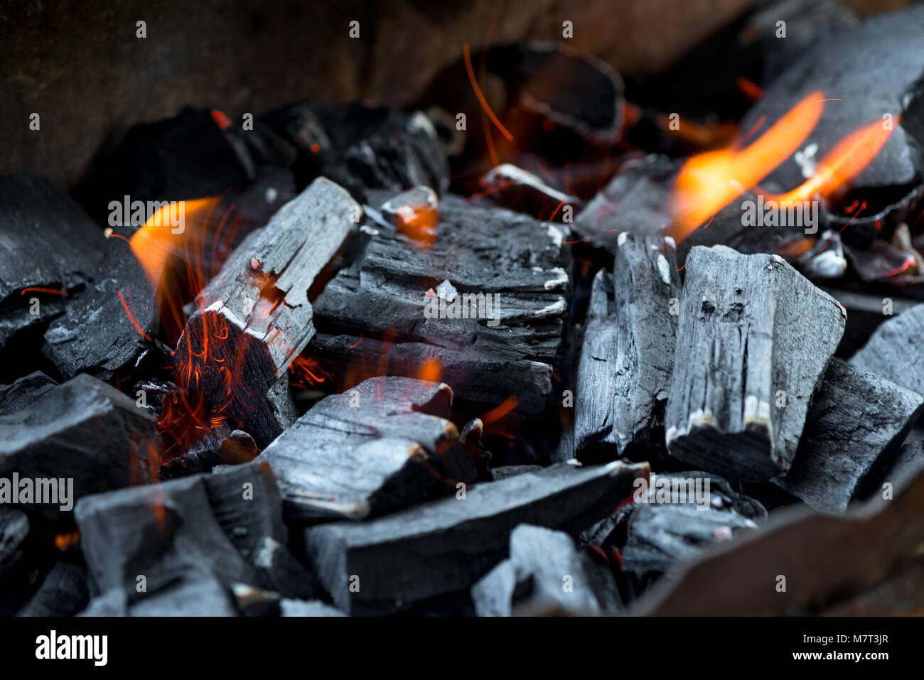 close-up burning natural coals in the fire Stock Photo - Alamy