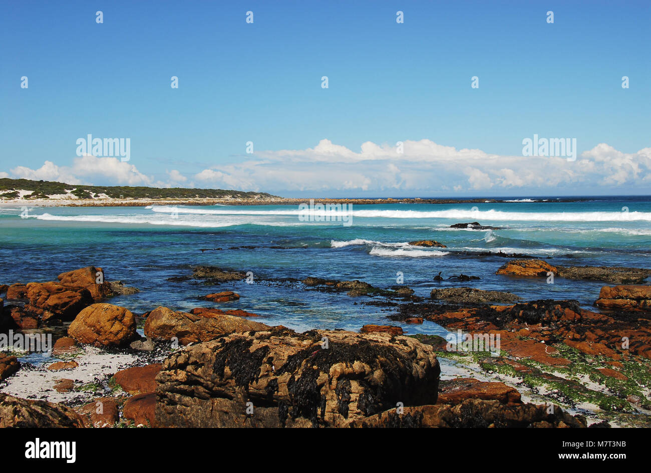 The gorgeous coastline of the Cape Peninsula at Scarborough, South ...