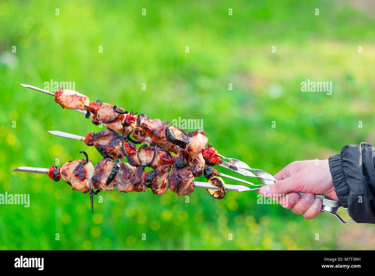 fried pork shish kebab on skewers in hand on background of green grass ...