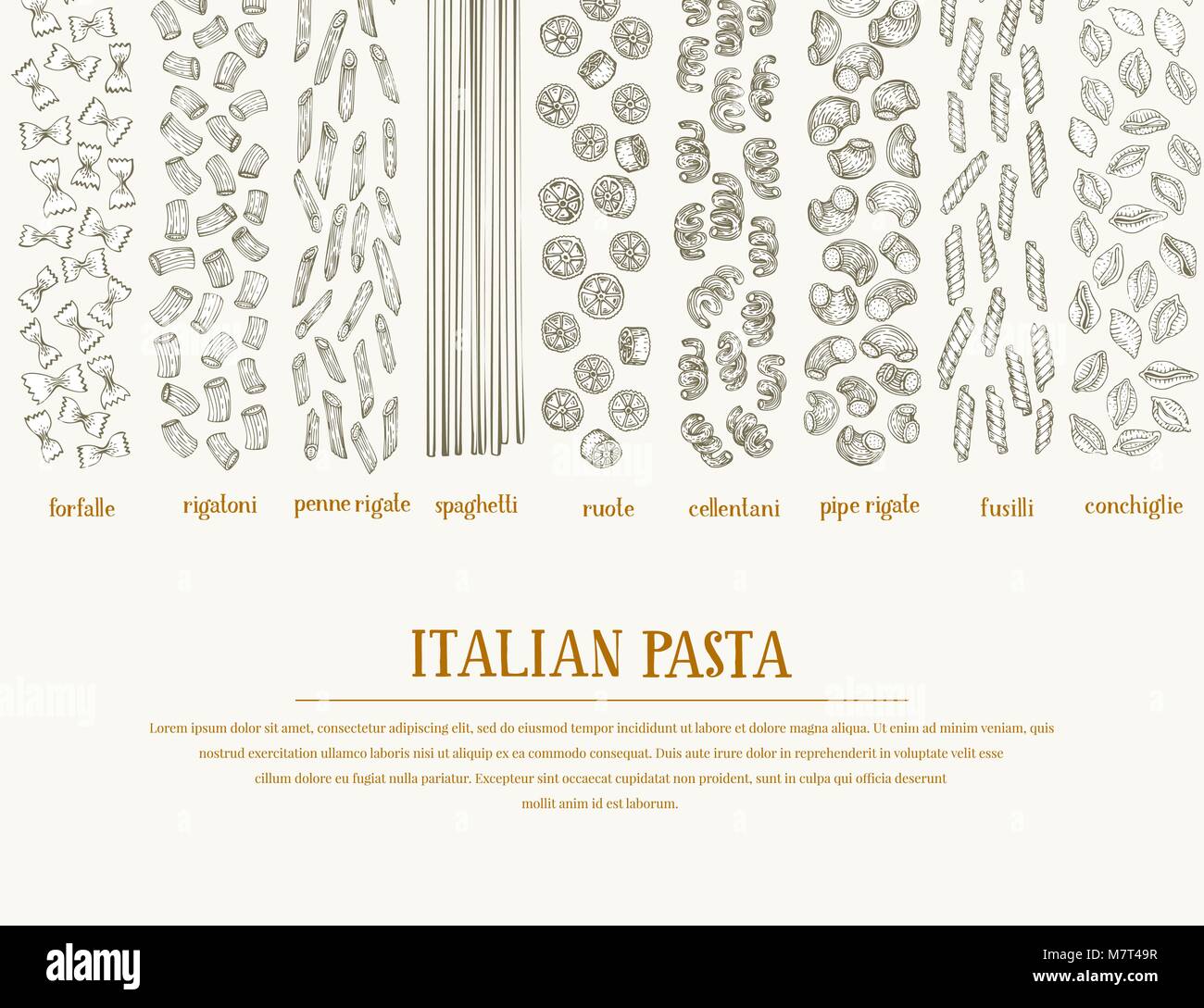 Vector banner with different types of traditional Italian pasta. Hand ...