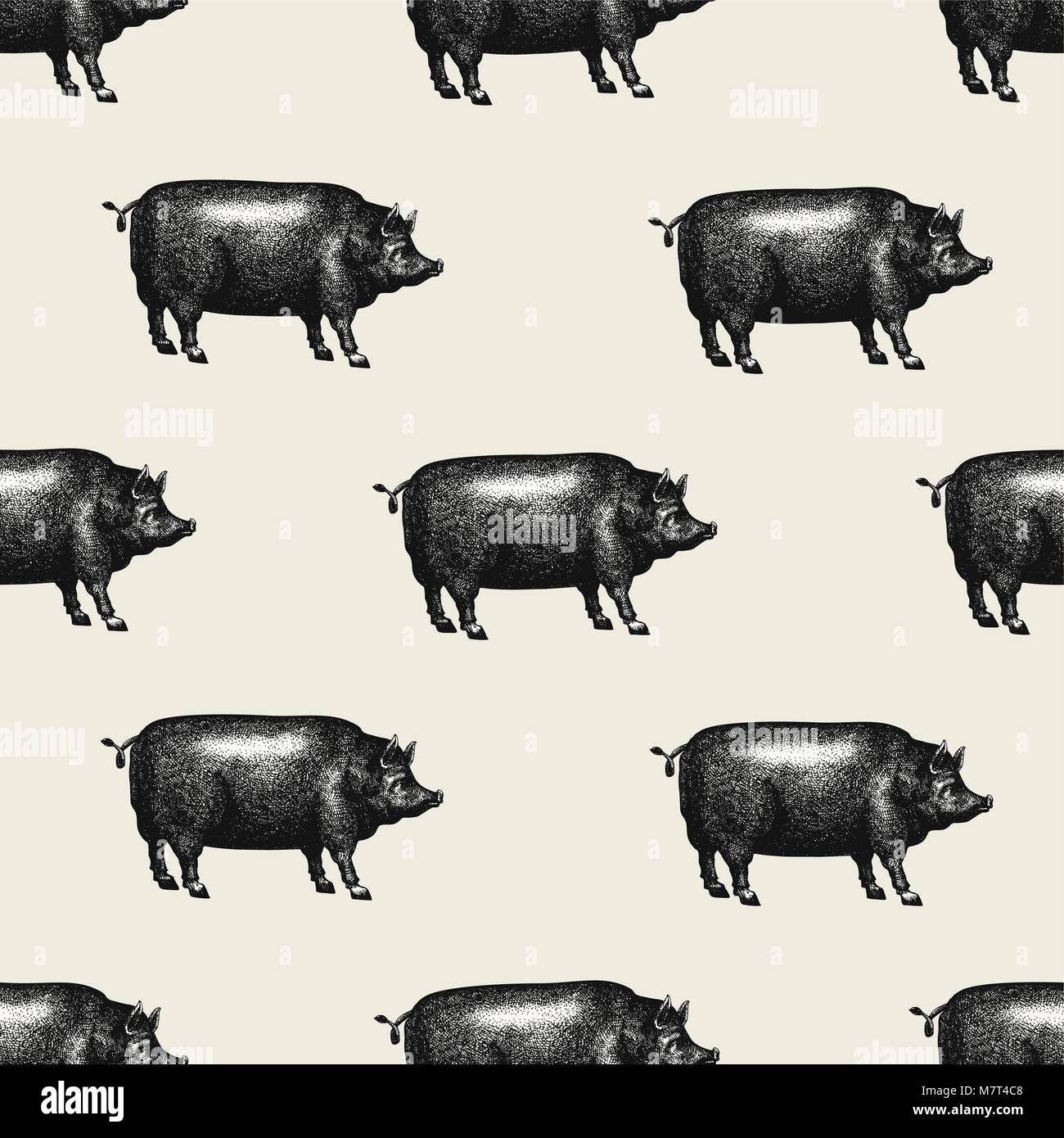 Seamless farm vector pattern. Graphical pig silhouette, hand drawn ...