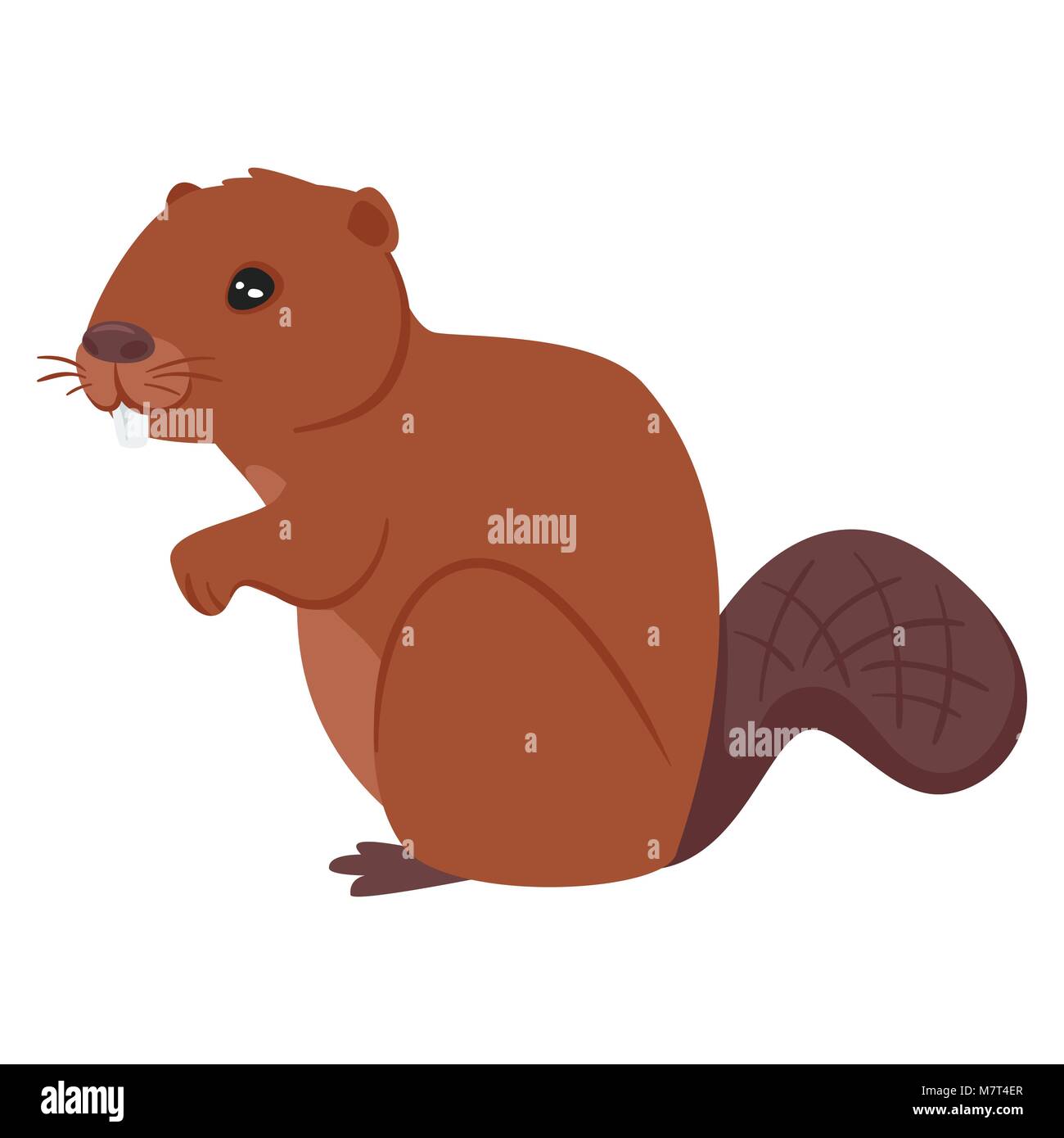 Beaver vector vectors hi-res stock photography and images - Alamy