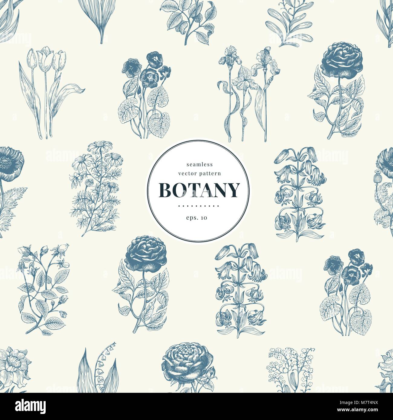Seamless botanical pattern in vintage style. Retro illustration. Vector ...