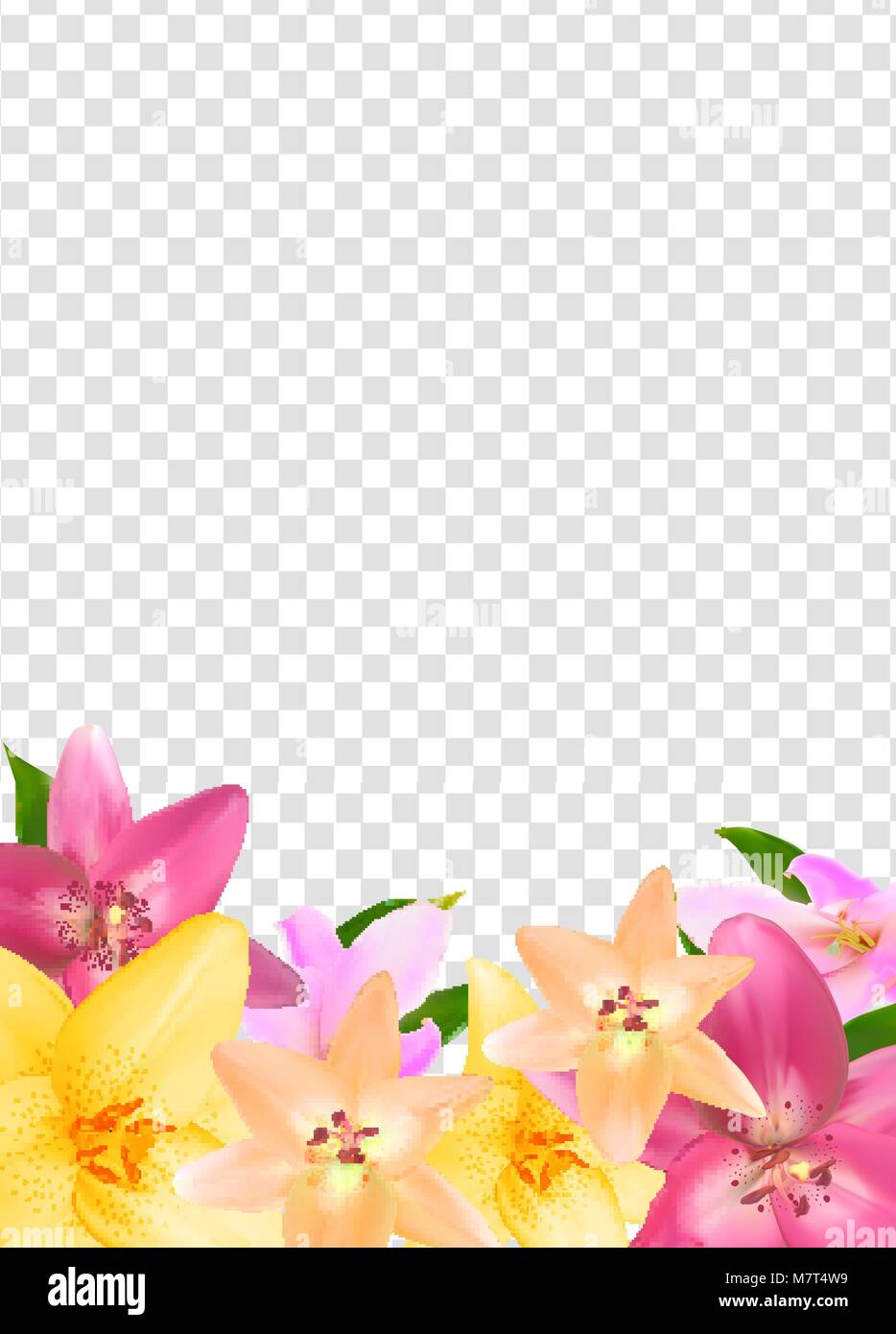 Summer Natural Floral Frame on Transparent Background Vector ...