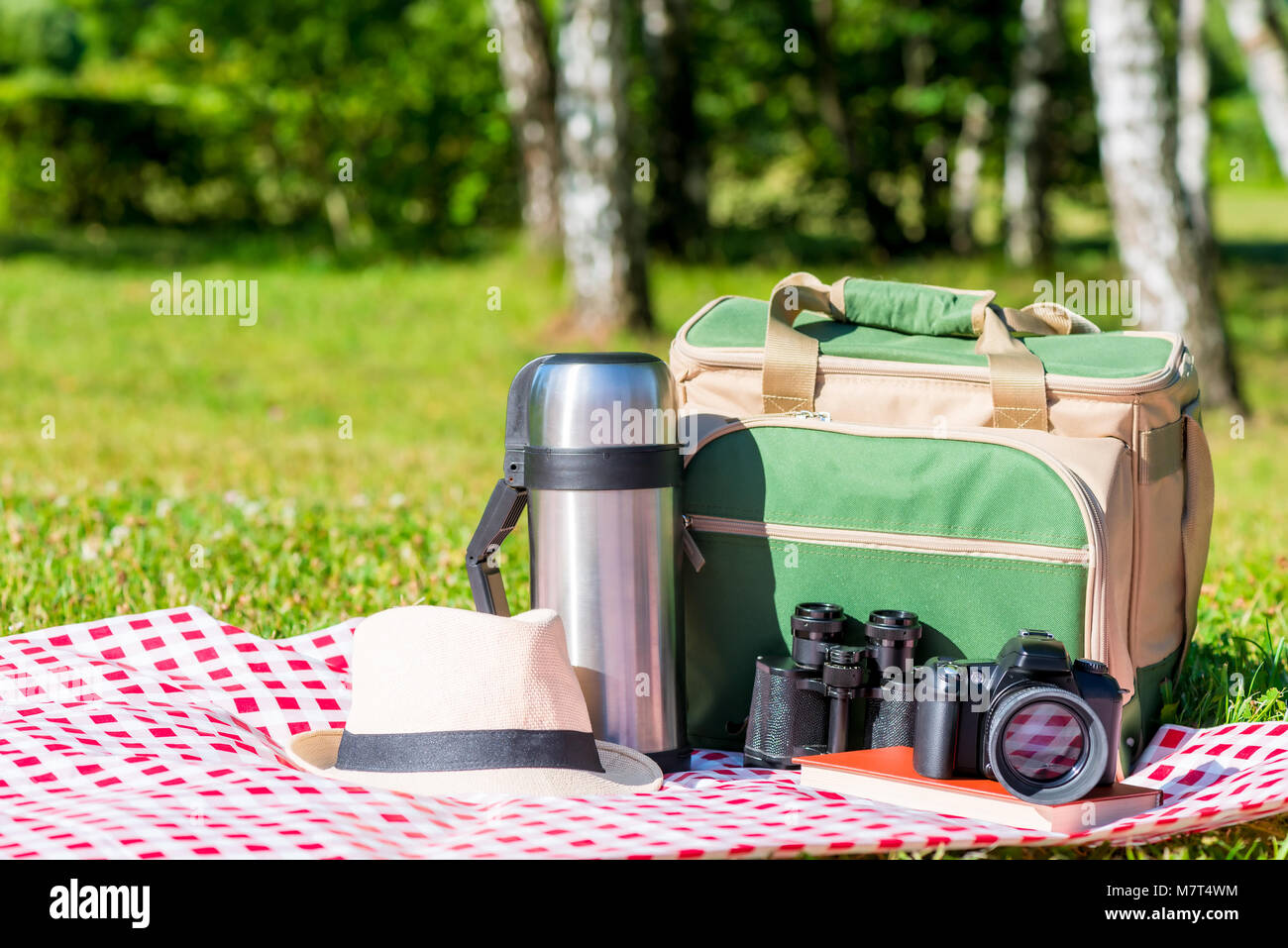 objects for recreation and picnic in nature in the park Stock Photo - Alamy