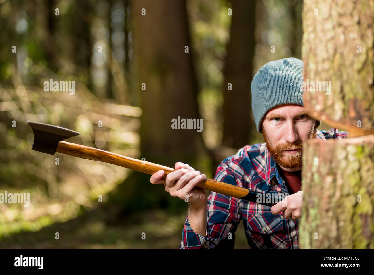 lumberjack with an ax and tree trunk, focus on the face Stock Photo - Alamy