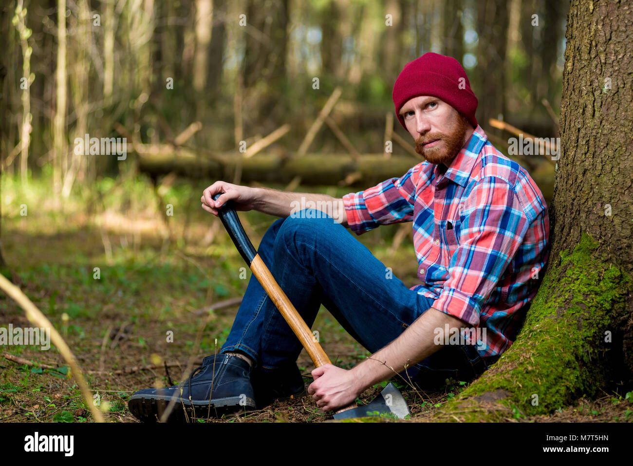 Strong lumberjack tree in hi-res stock photography and images - Alamy