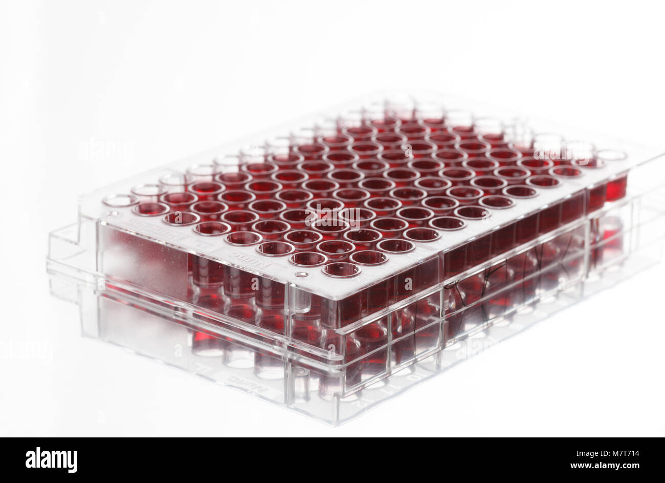 Pcr well plate with biological samples Stock Photo - Alamy