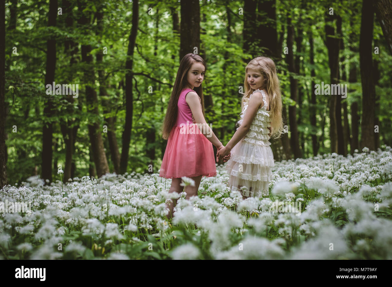 beautiful girls with long hair in spring forest back view Stock Photo ...