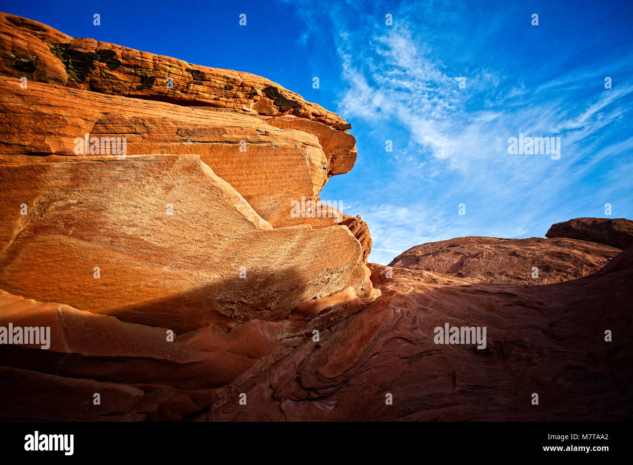 Windswept landscape hi-res stock photography and images - Alamy