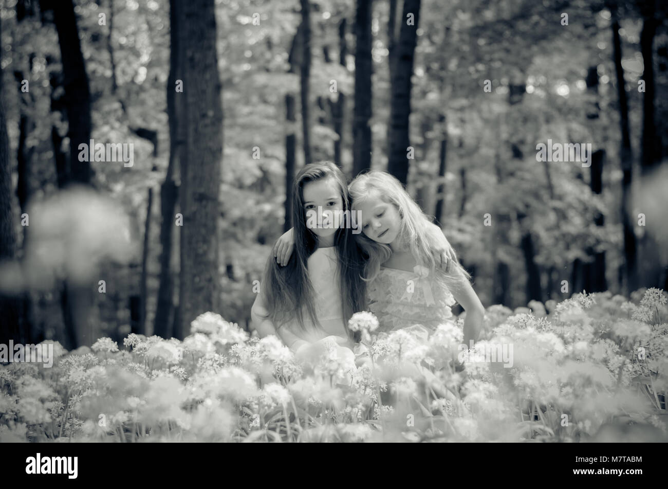 happy friends girls enjoying time in spring forest Stock Photo - Alamy