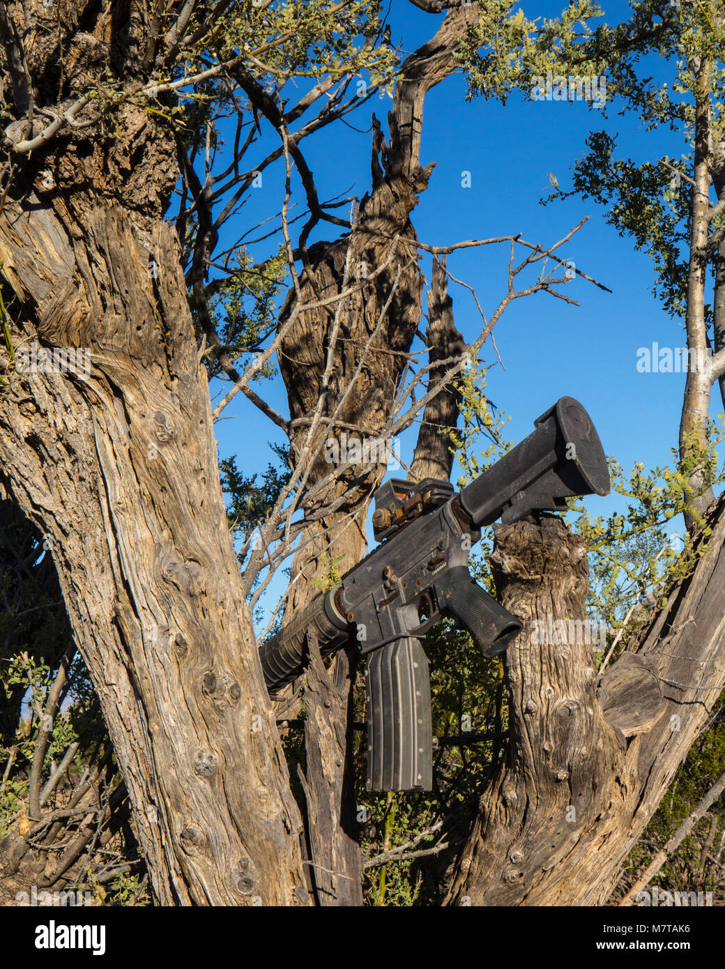 Smugglers arms hi-res stock photography and images - Alamy