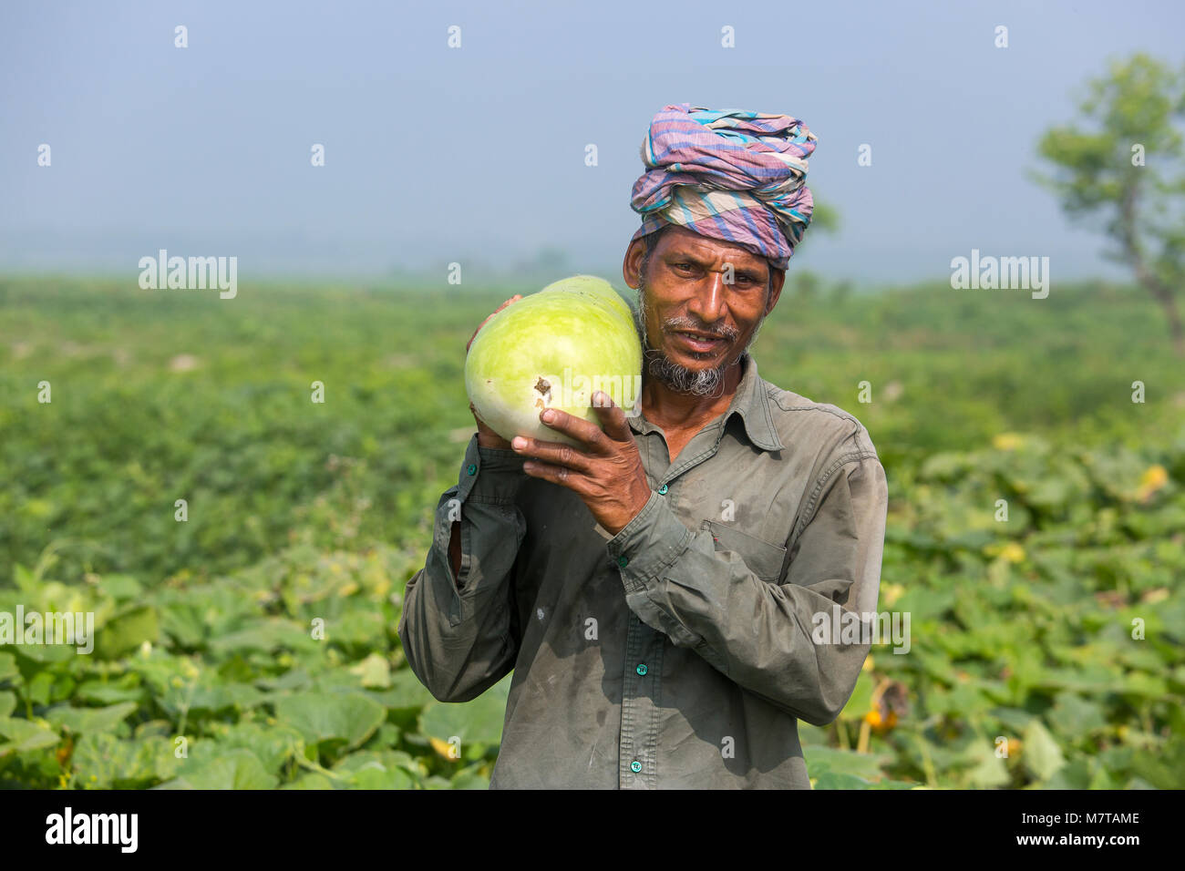 A man outdoors holding a large size of Bottle Gourd at Arial Beel ...