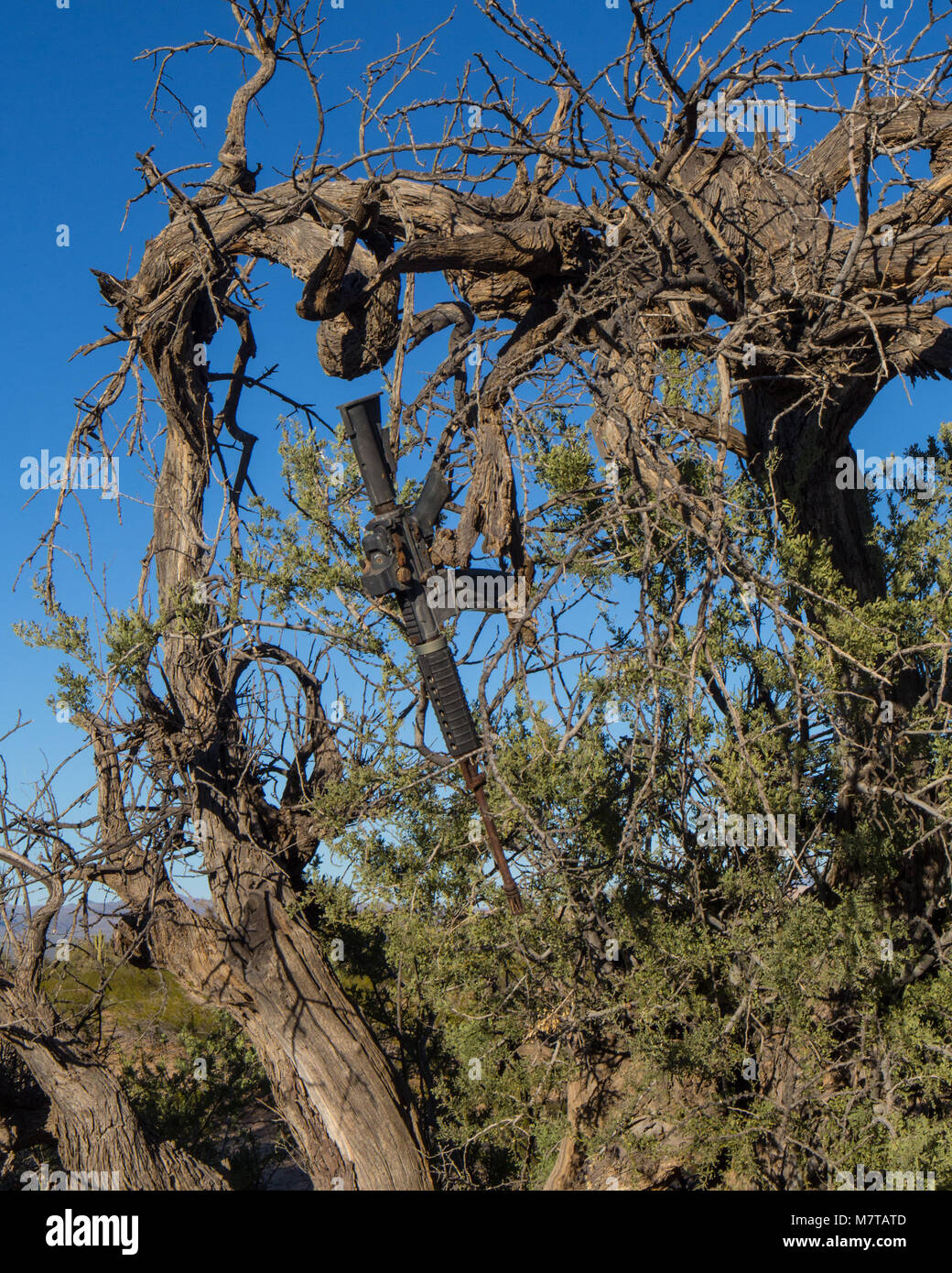 Smuggler Barrel High Resolution Stock Photography and Images - Alamy