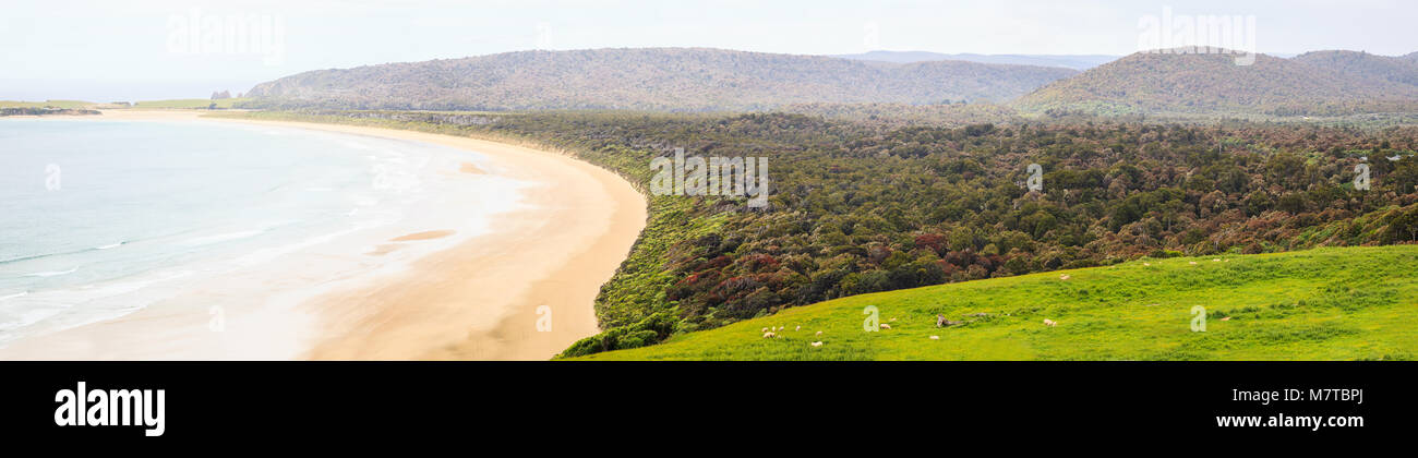 Summer Family Activity, walking to Sandfly Bay to observe wildlife and ...