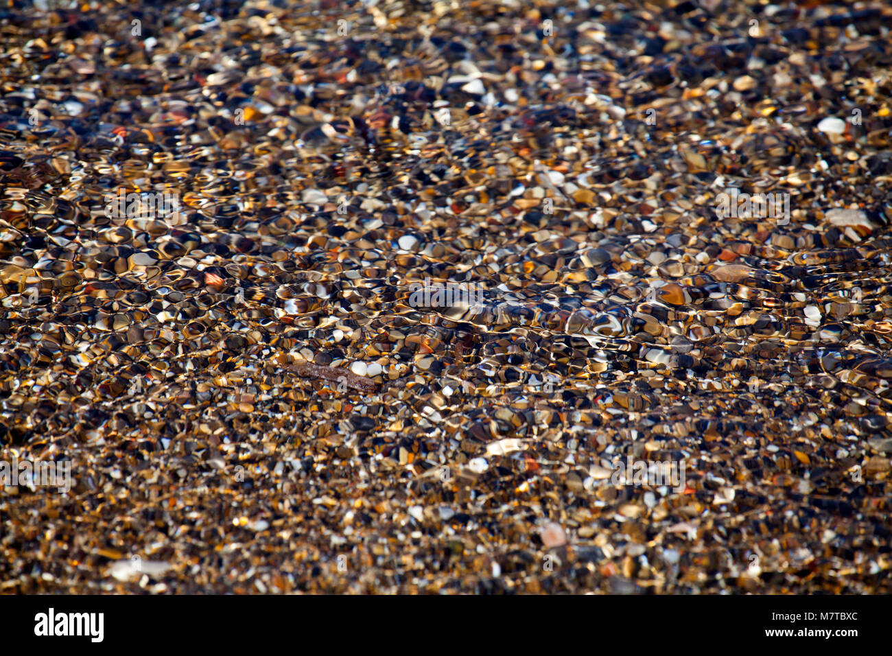 Abstract background of colorful pebble in water Stock Photo - Alamy