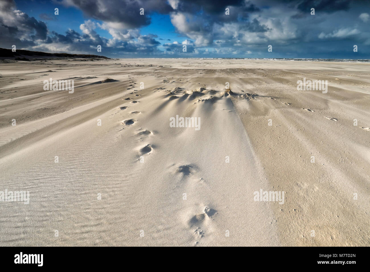 Windy tracks hi-res stock photography and images - Alamy