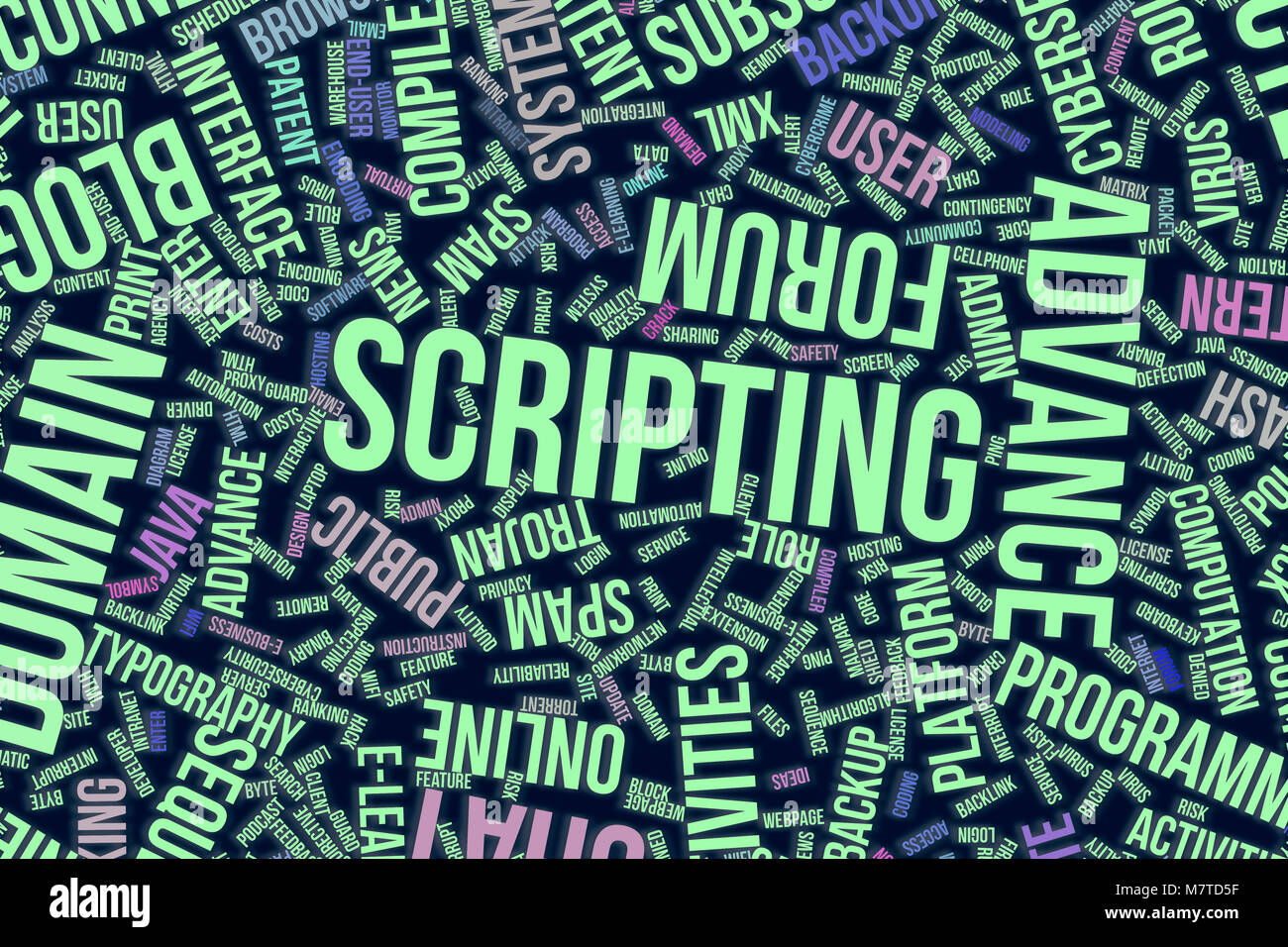 Scripting, IT, information technology conceptual word cloud for for ...