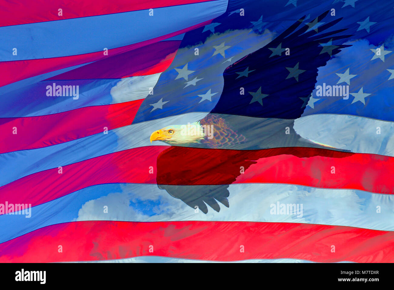American flags with eagles hi-res stock photography and images - Alamy