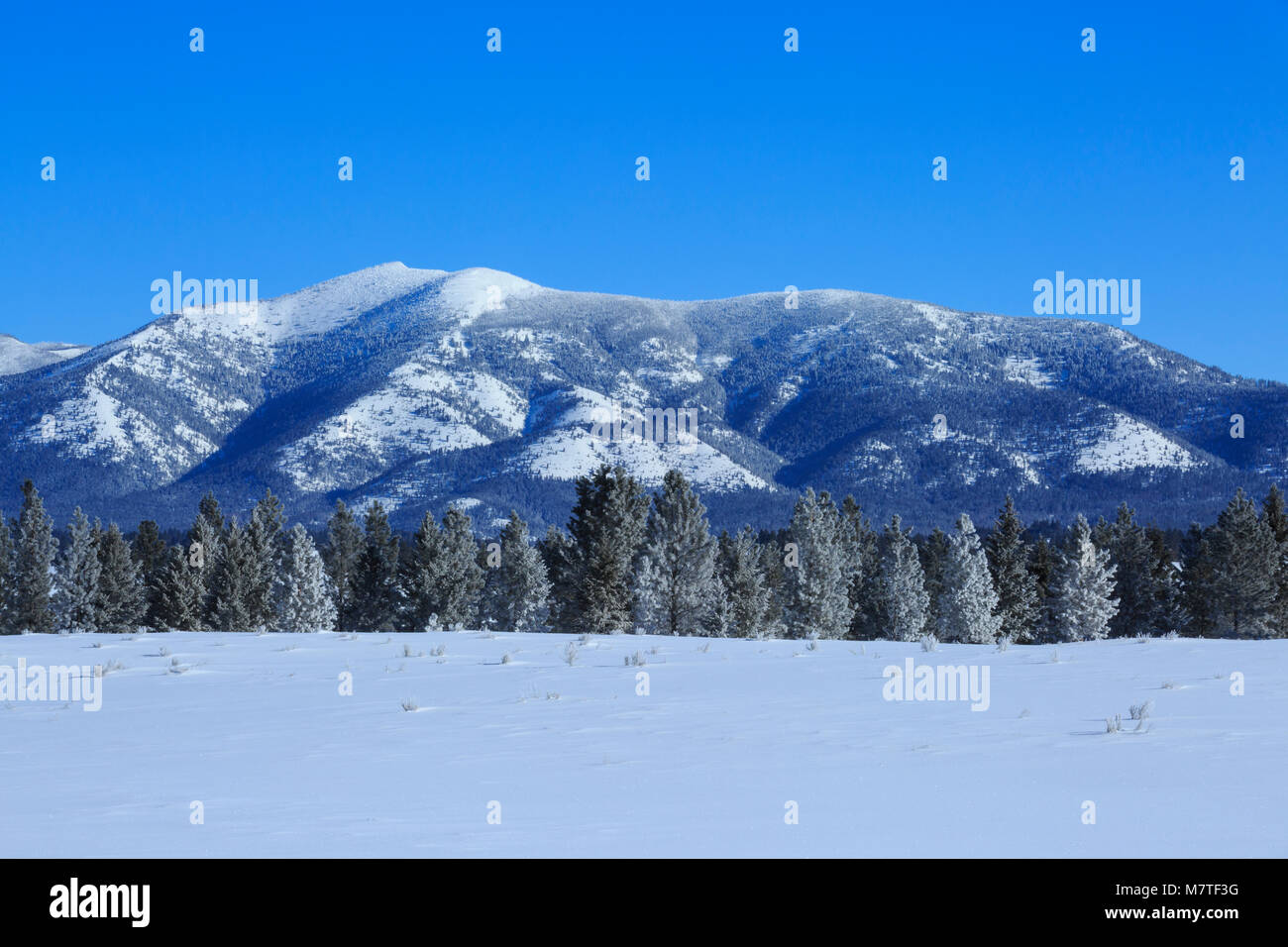 Ovando hi-res stock photography and images - Alamy