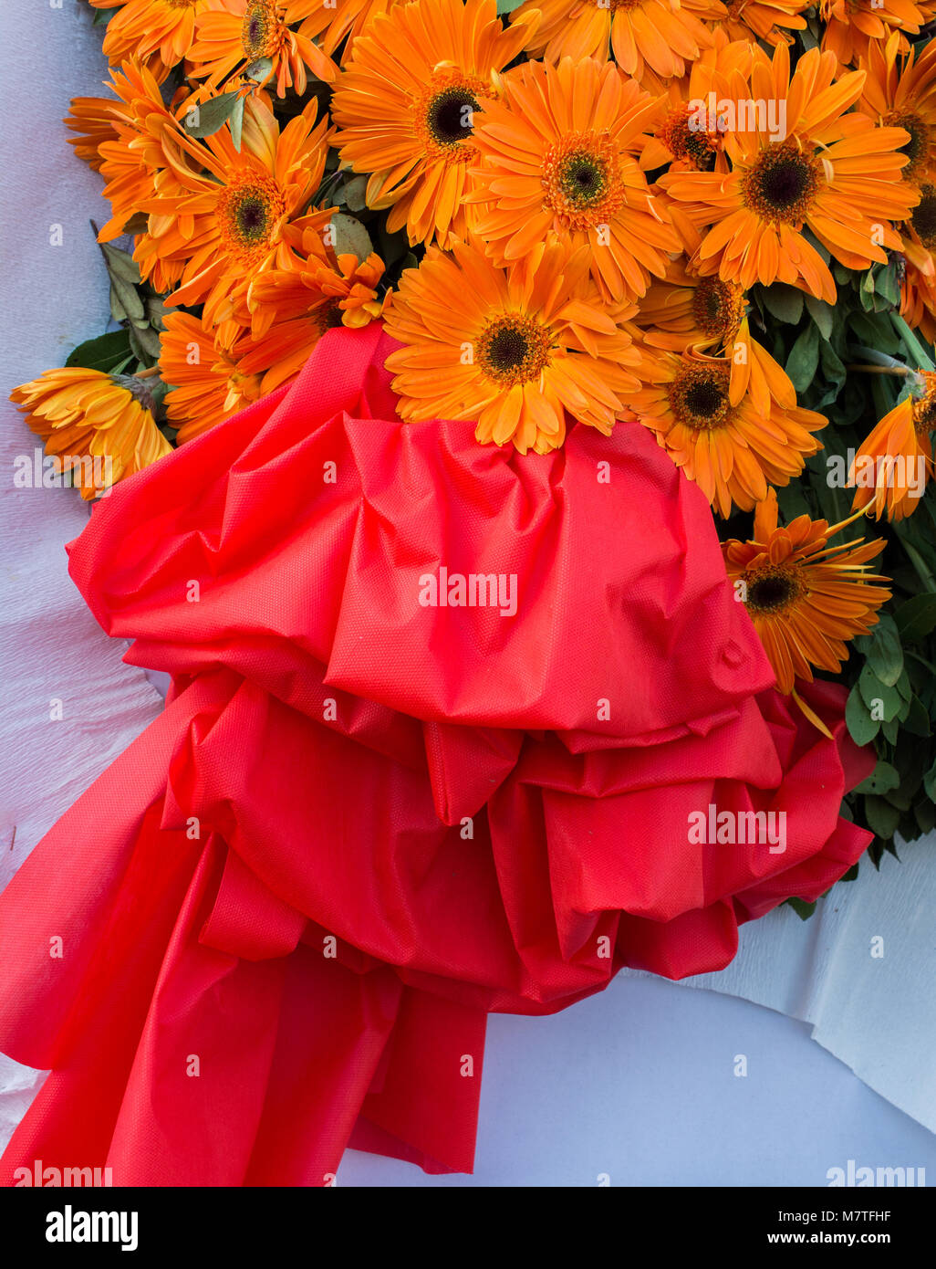 Beautiful colorful natural spring flowers as a nature background Stock ...