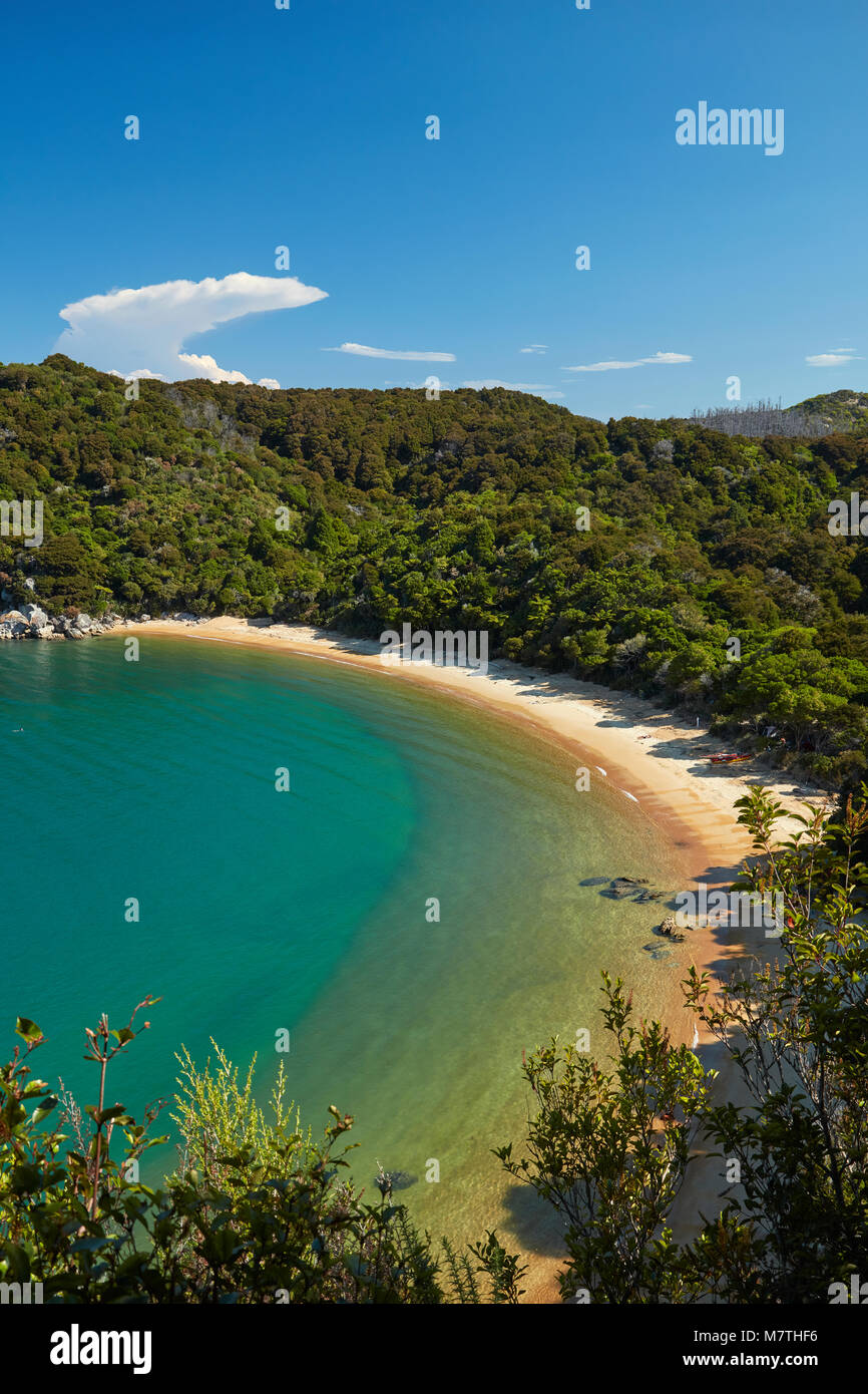 Te Pukatea Bay, Abel Tasman National Park, Nelson Region, South Island, New Zealand Stock Photo ...