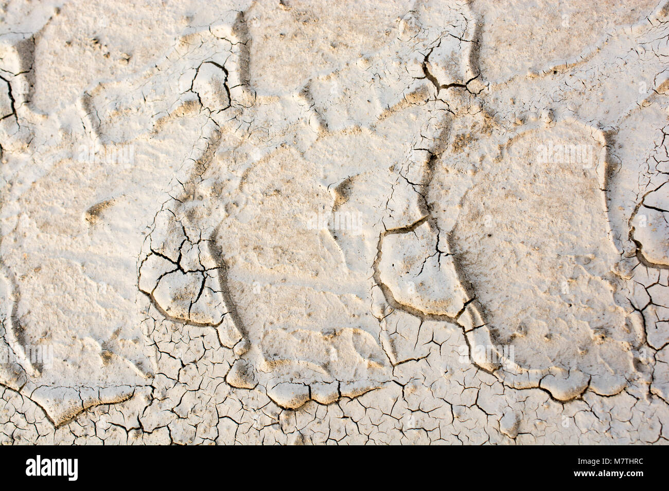 Crack concrete textured as an abstract grunge background Stock Photo ...