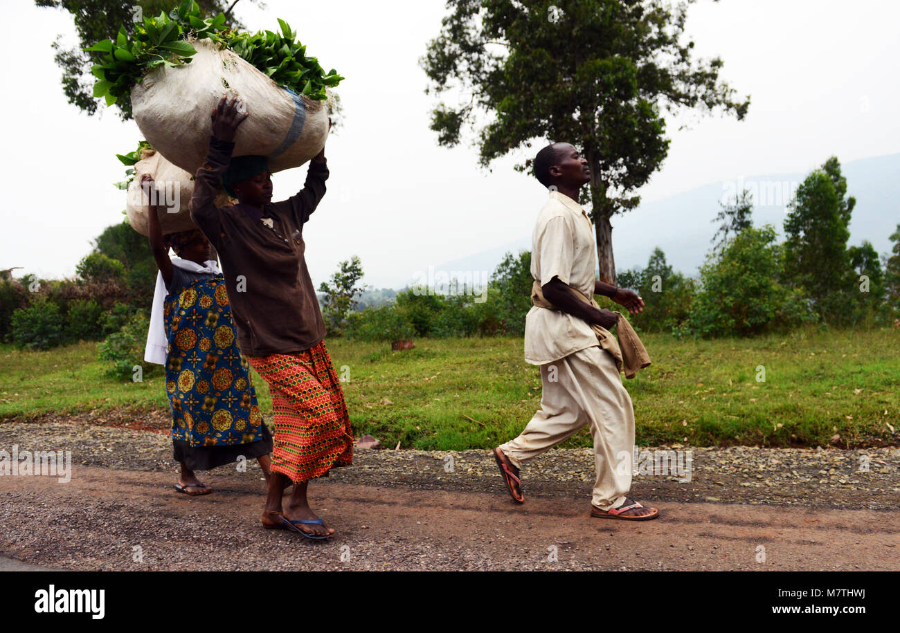 Travel heavy bags hi-res stock photography and images - Alamy